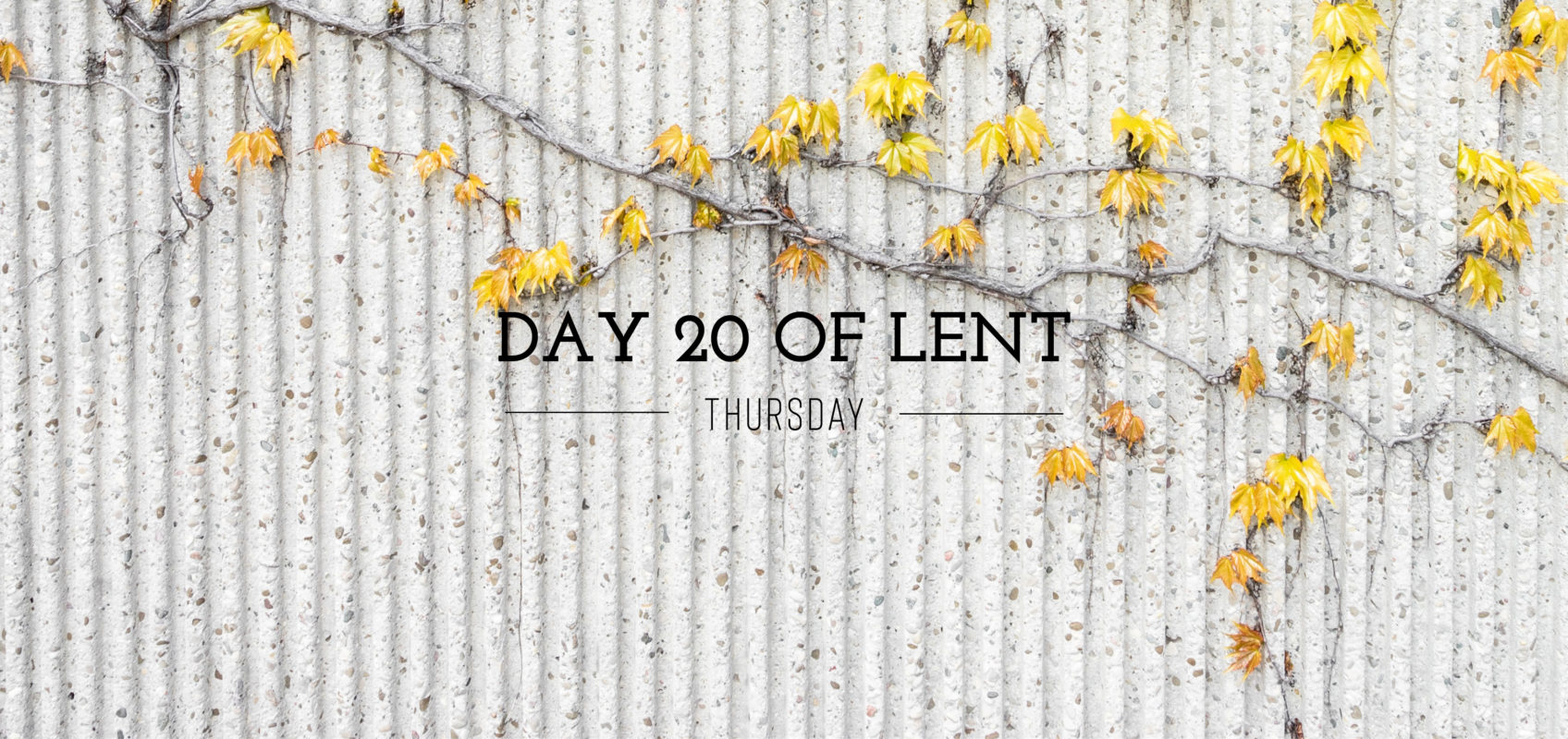 Day 20 of Lent - Thursday - Bayside Blog